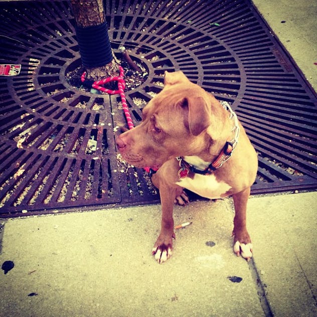 Who Is Diggy From The Bachelorette'? Rachel's Contestant Is Looking To ...