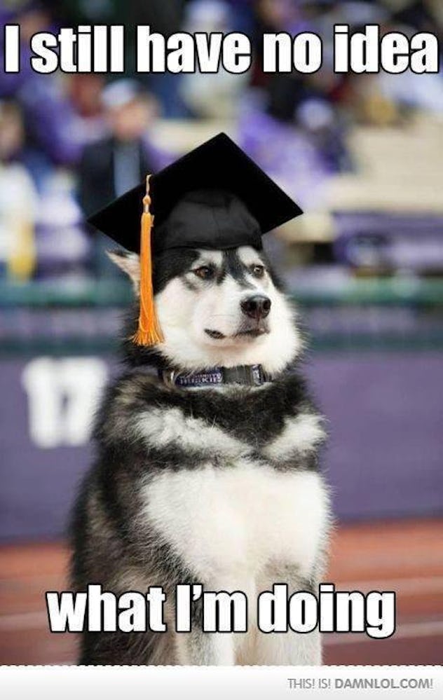 15 2017 Graduation Memes Full Of Pomp & Circumstances