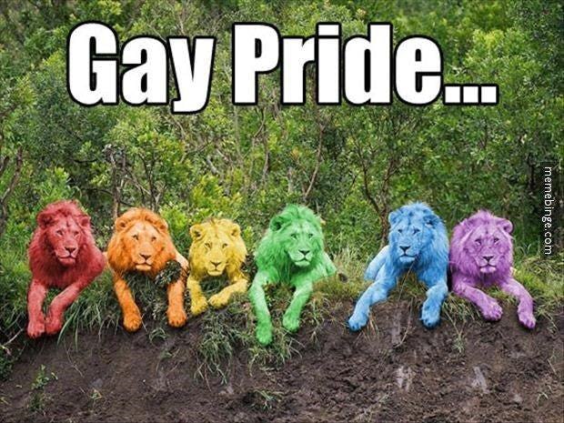 15 Pride Memes To Help You Spread Equality All Month Long