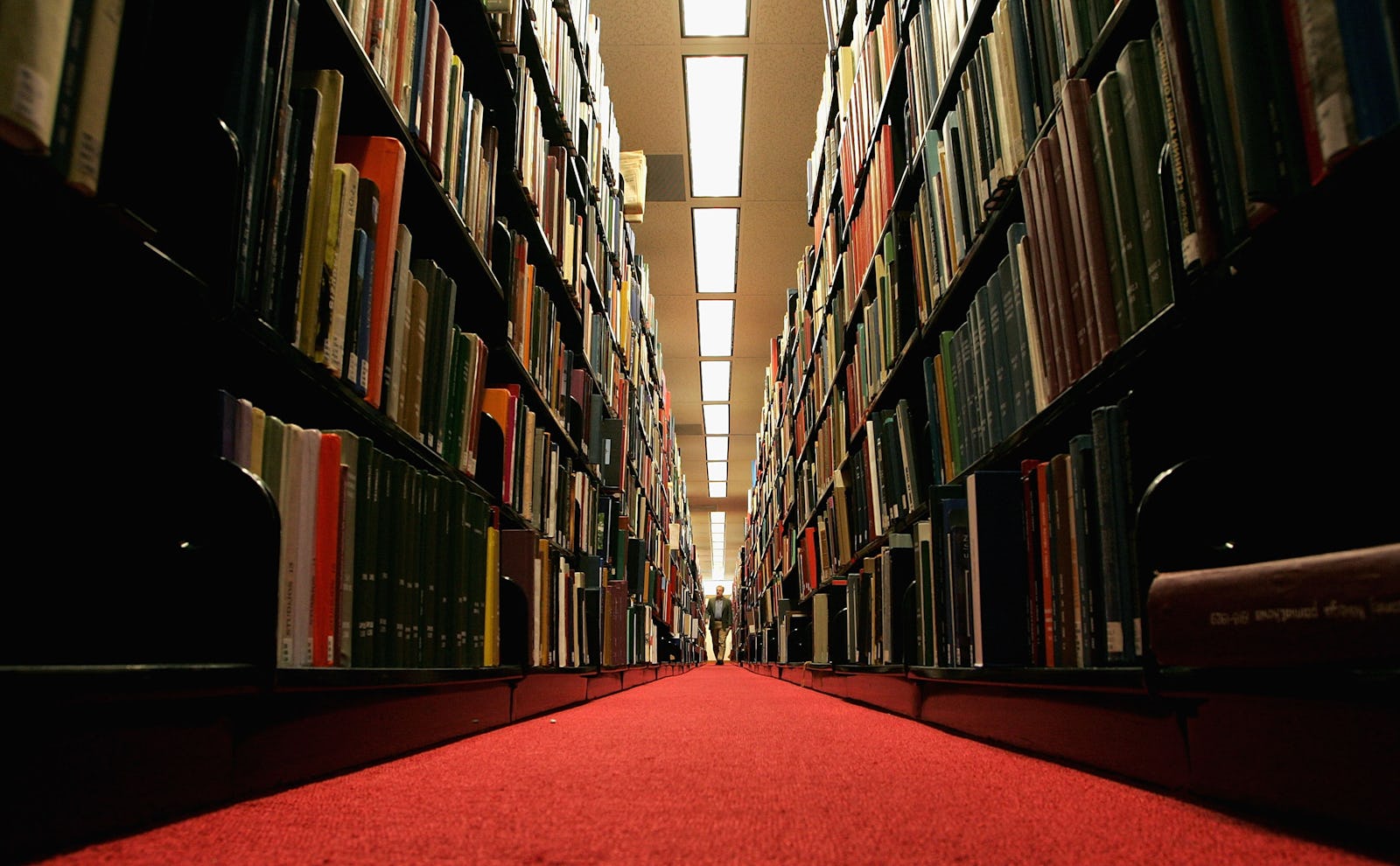 9 Creepy College Libraries With Stories That Will Completely Freak You ...