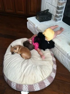 Kids Nap in the Darndest Places