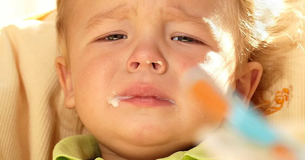 39 Reasons Why My Son Won t Eat Dinner 39 Reasons Why My Son Won t Eat Dinner