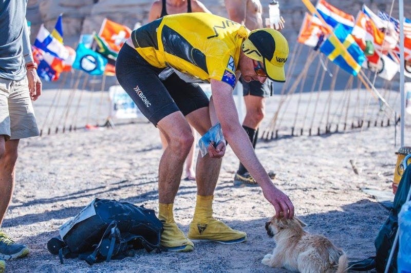 Runner Adopts Stray Dog Who Ran 77 Miles With Him During Extreme Marathon
