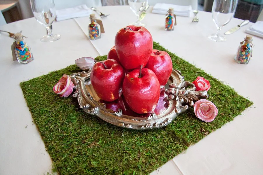 Couple Throws Perfect DIY Disney Wedding