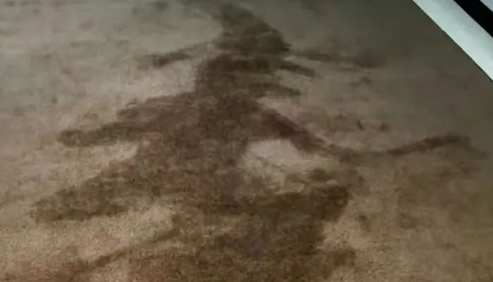 Elementary School Janitor Creates Mini Masterpieces In The Carpet For Kids