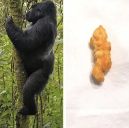 Someone Paid 100K For A Cheeto That Looks Like Harambe