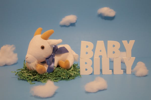 You Goat Mail: Anonymously Send A Cute Little Goat To Anyone You Want