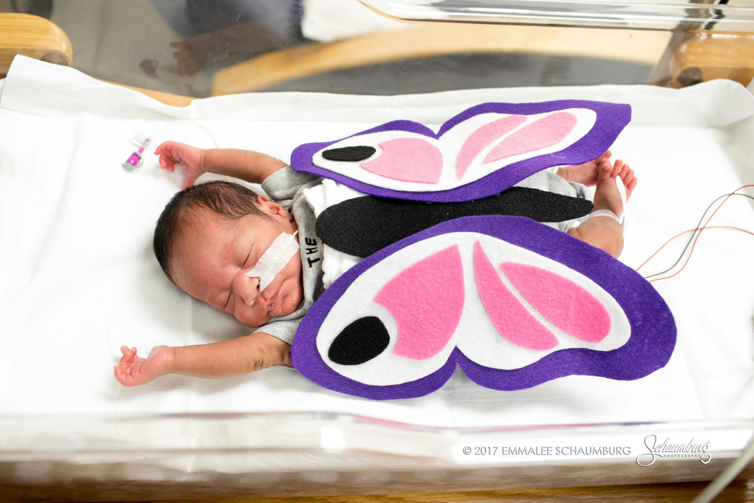 Volunteers Create Adorable Halloween Costumes For NICU Babies