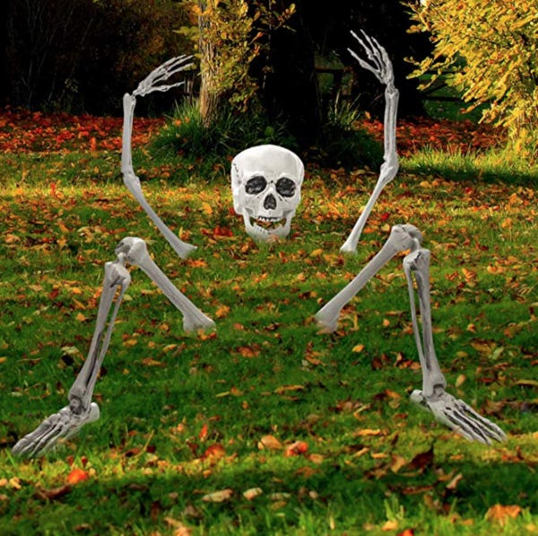 Mermaid Skeletons Are Here To Make Halloween Extra Magical