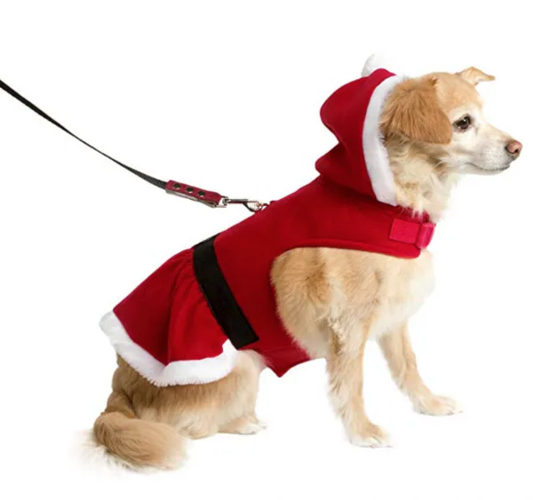 These Adorable Outfits Let You Match Your Pup This Holiday Season