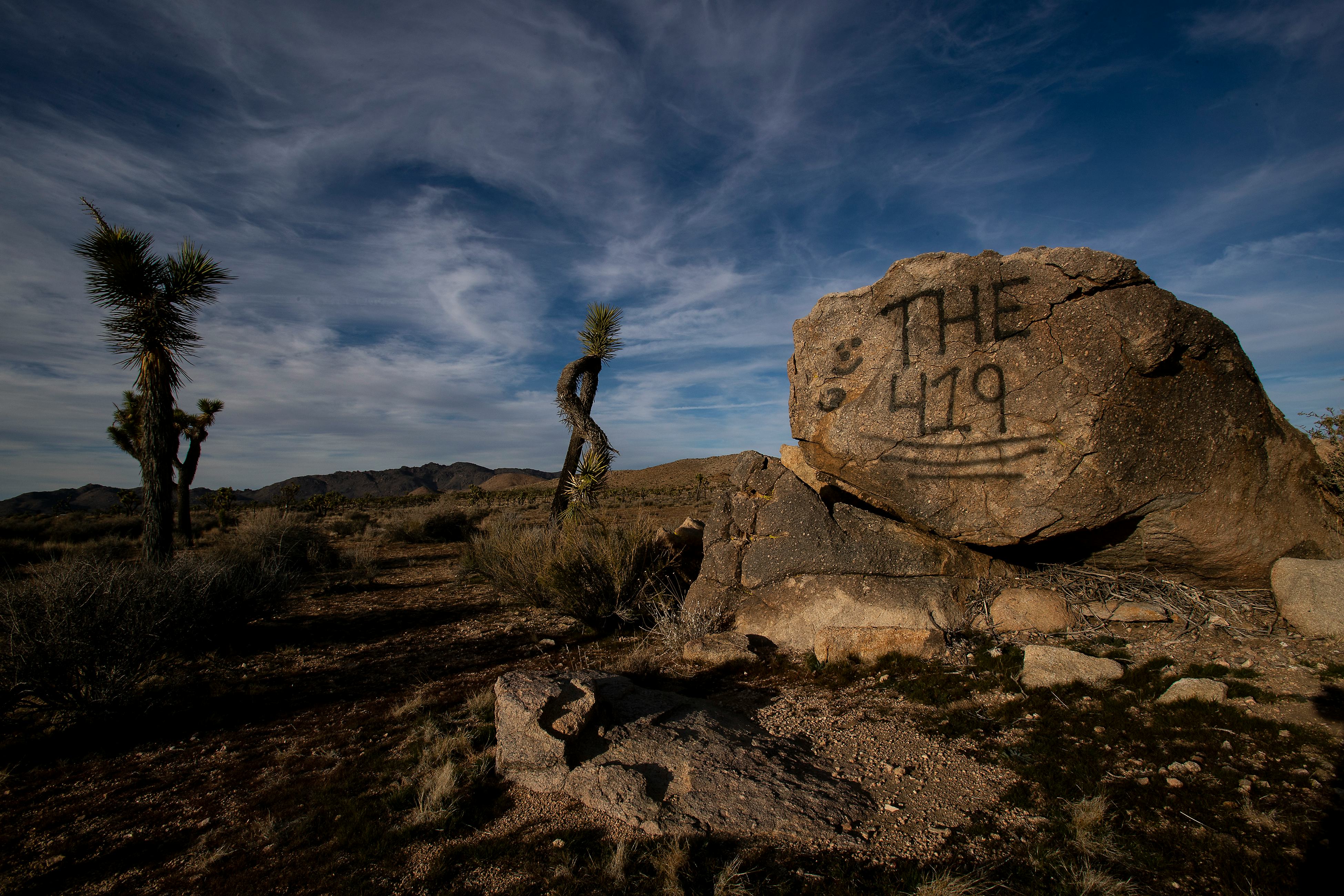 Vandals Used The Government Shutdown To Cut Down Protected Joshua Trees