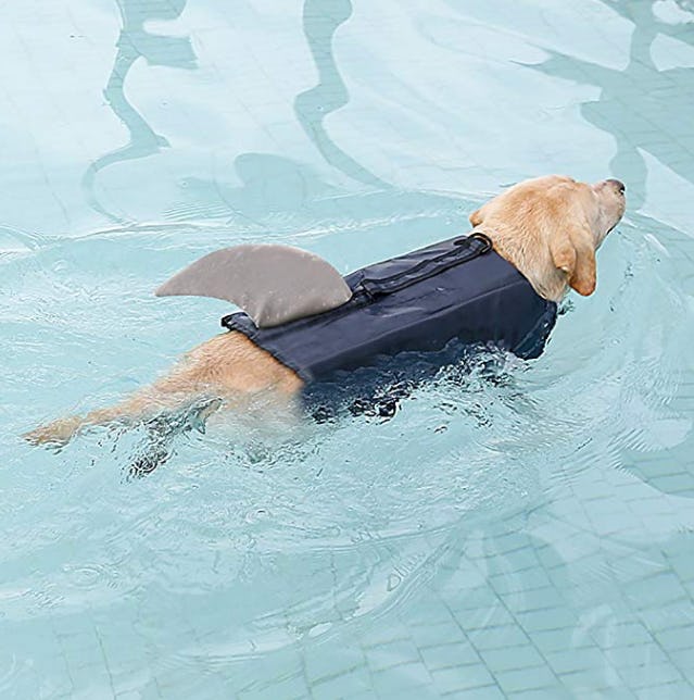 This Mermaid Life Jacket For Dogs Is The Only Pool Accessory You Need ...