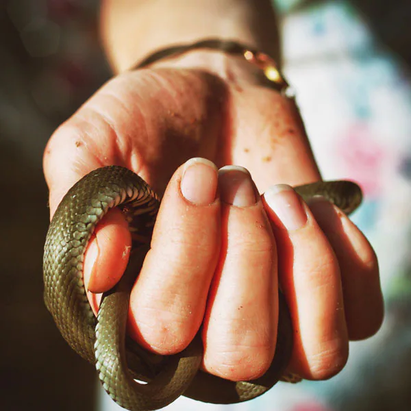 Snake Massages Are A Thing And We Have So Many Questions