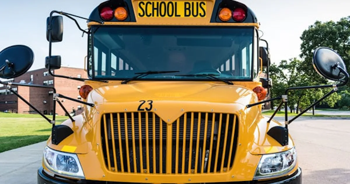 If Schools Are Open In The Fall My Kids Are Going Back If Schools Are Open In The Fall My Kids Are Going Back