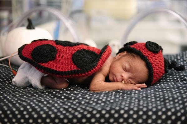 These NICU Babies In Handmade Costumes Are Here To Make Your Halloween
