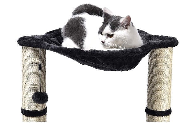 Give Your Fluffy Family Member One Of These Clever Pet Gifts