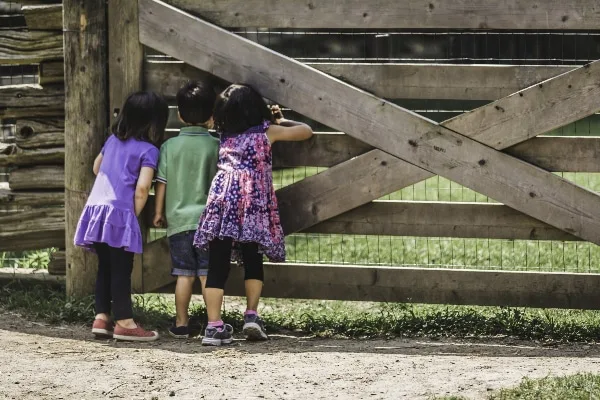 21 Super Fun Farm Games To Make Hay For Any Kid’s Party