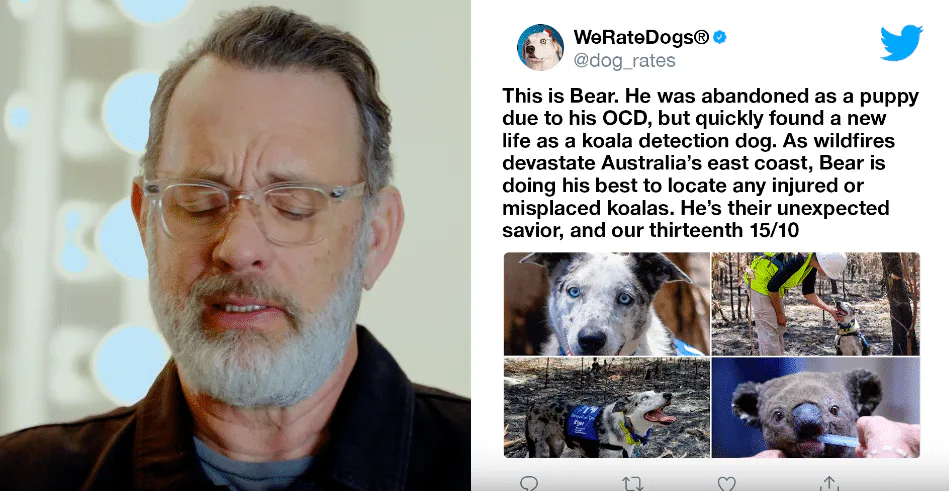 Tom Hanks Reads ‘Nice Tweets’ And The Internet Loves It