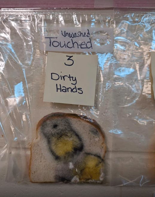 Teacher’s Genius Bread Experiment Shows Why Hand-Washing Matters