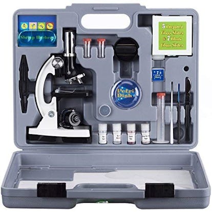 12 Best Science Kits For Kids That Will Get Them Winning The Next ...