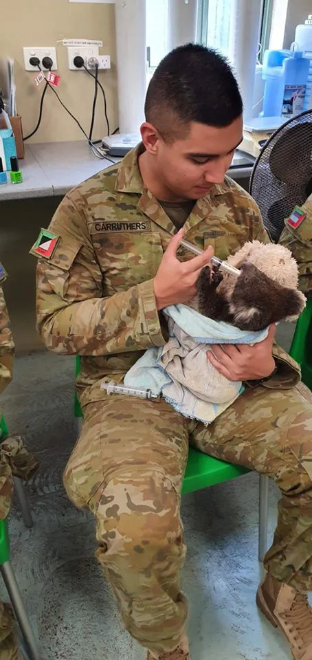 Australian Army Soldiers Are Cuddling Bushfire-Injured Koalas On Their ...