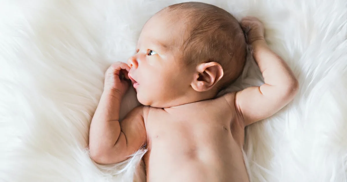How Many Bones Are Babies Born With And Why Do Adults Have Fewer How Many Bones Are Babies Born With And Why Do Adults Have Fewer
