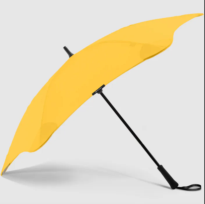 11 Of The Best Windproof Umbrella-Ella-Ellas For Unpredictable Wind & Rain
