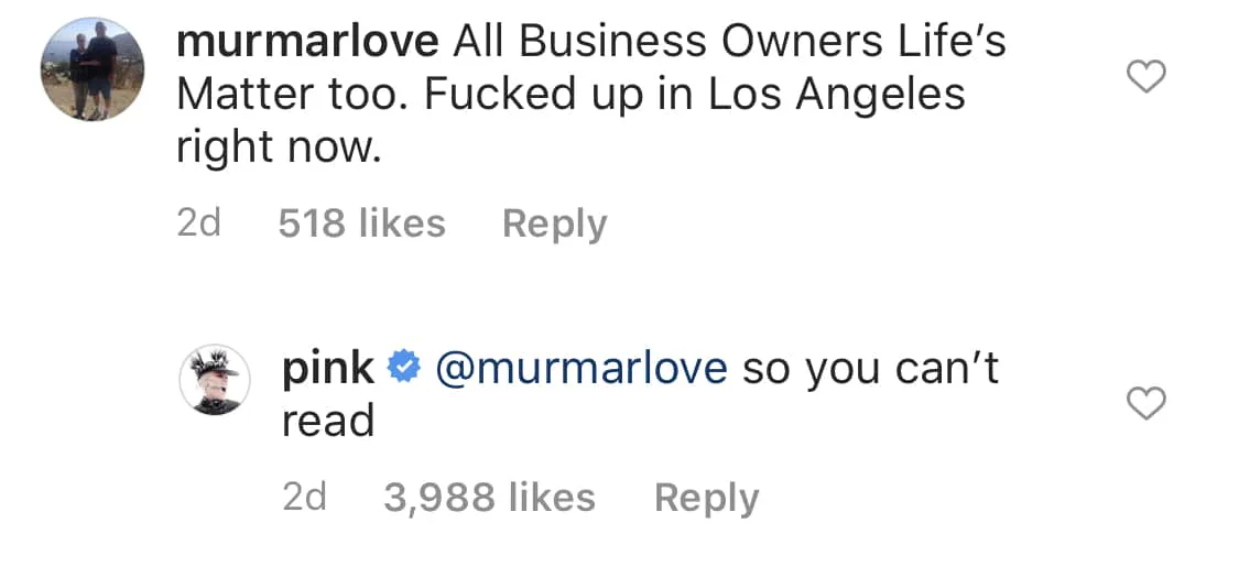 Pink Has Words For Commenters After They Criticize Her BLM Post