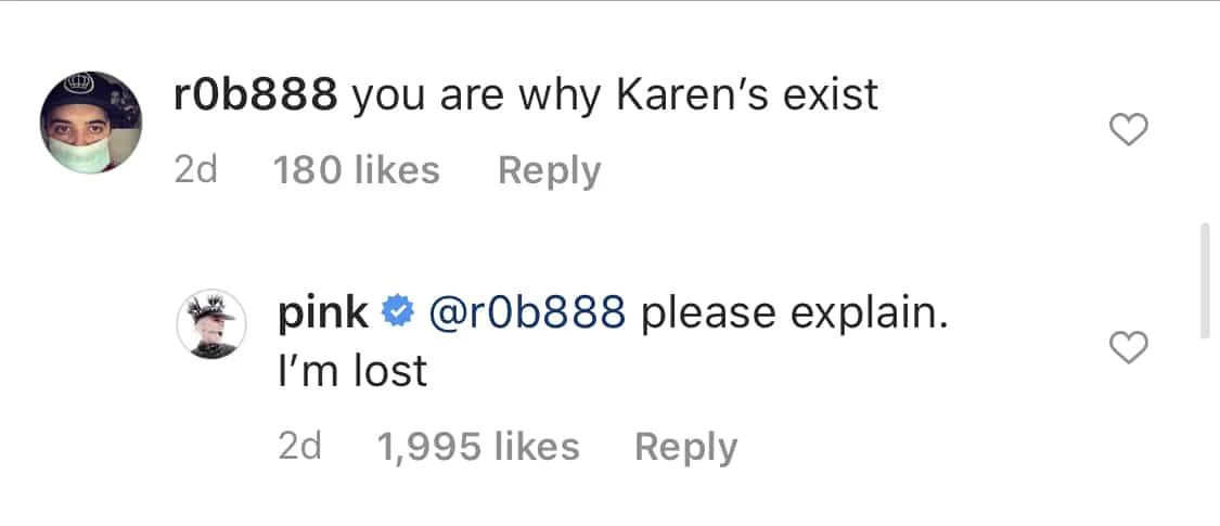 Pink Has Words For Commenters After They Criticize Her BLM Post