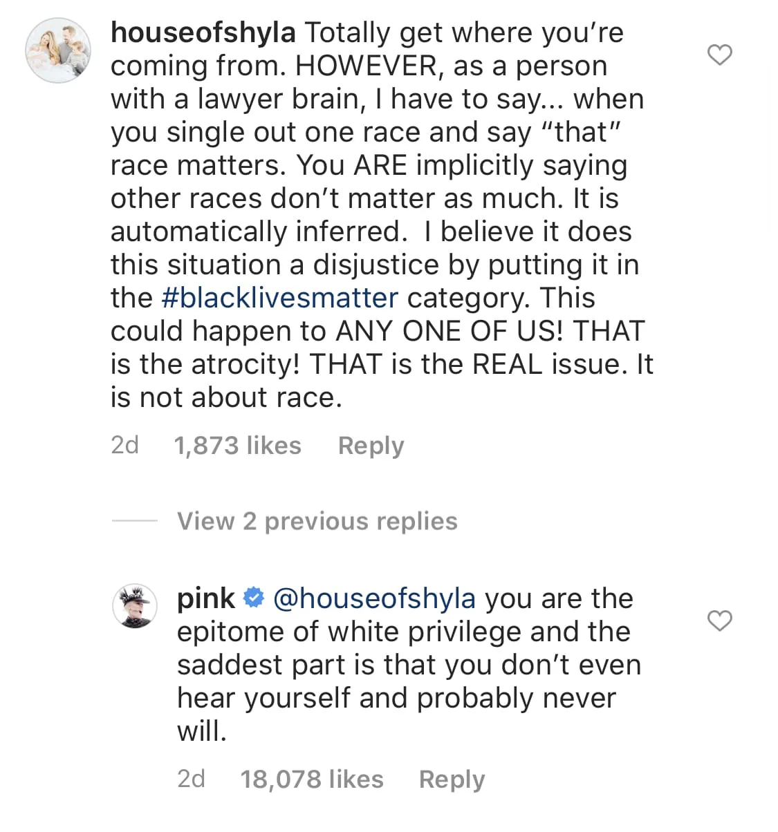 Pink Has Words For Commenters After They Criticize Her BLM Post