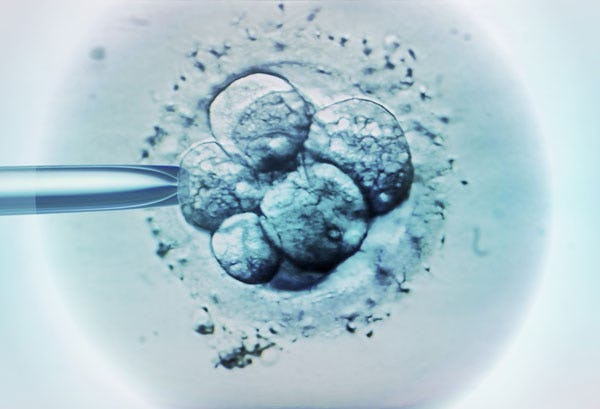 No, Judge Barrett, An Embryo Is Not A Person