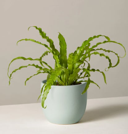 20 Engagement Gifts That Stand Apart From Bridal, Bachelorette, Or ...