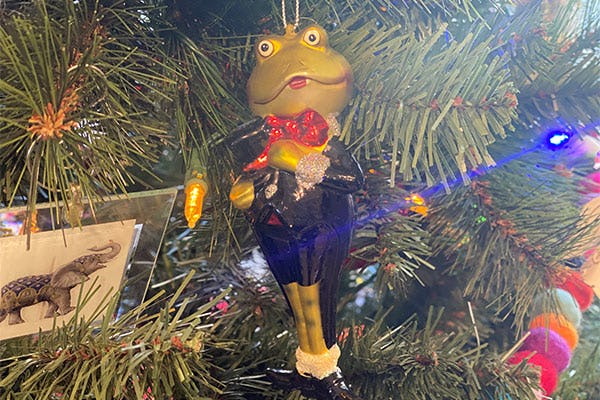 My Christmas Tree Is Covered In Frogs
