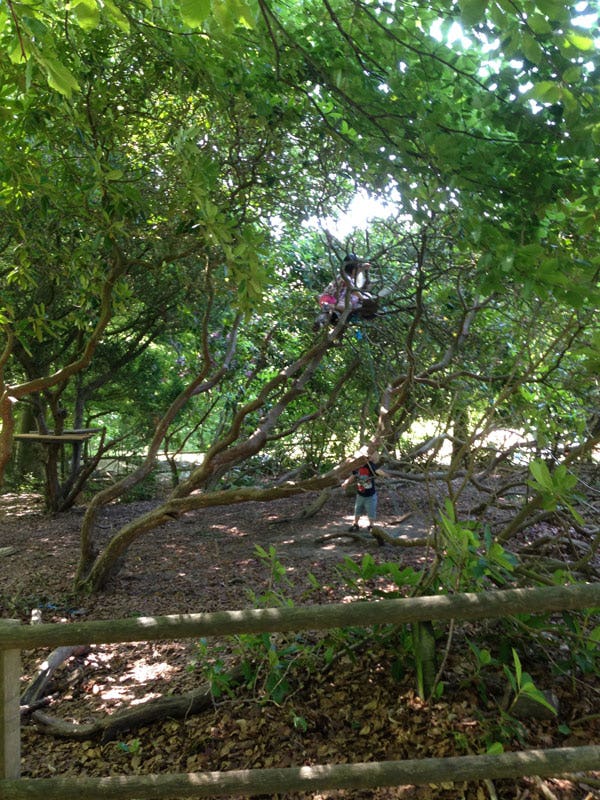 My Daughter’s Experience In A Danish Forest Kindergarten