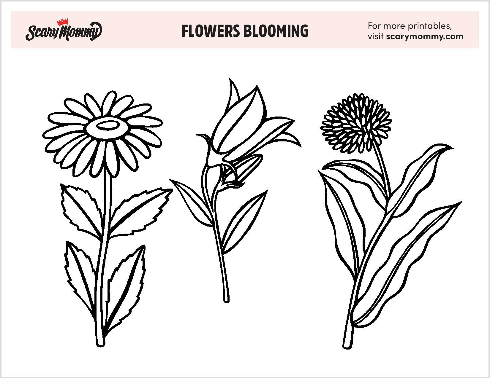10 Flower Coloring Pages To Make Your Kiddo’s Art Skills Blossom