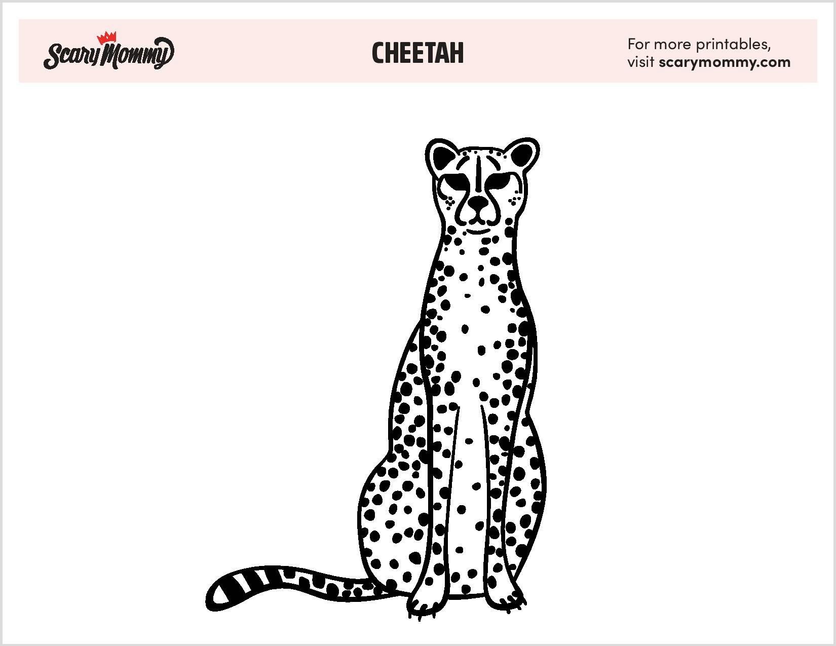10 Cheetah Coloring Pages That Make A Purr-fect Pastime For Kids