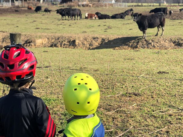 The Life-Changing Magic Of Watching Brothers Turn Into Best Friends