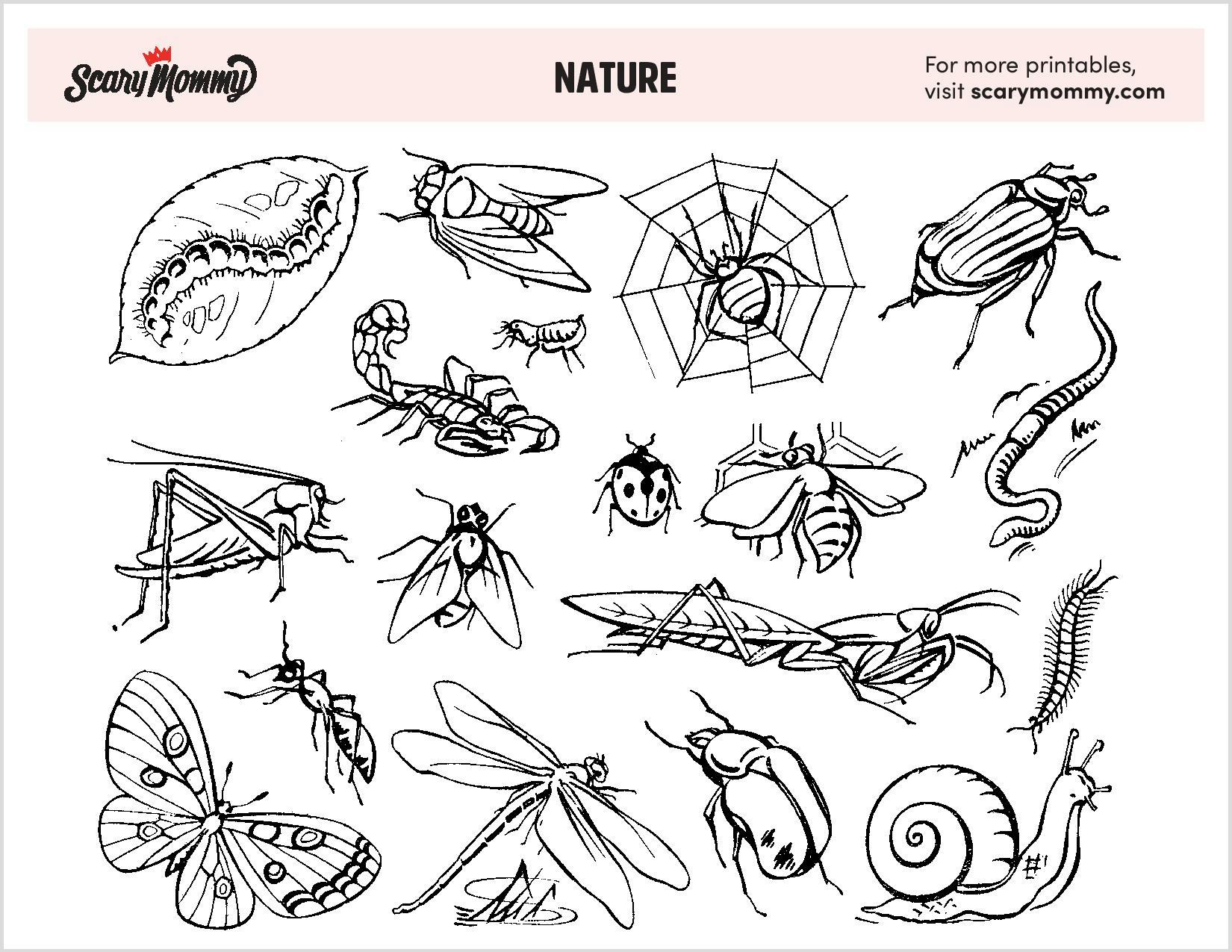 11 Free Nature Coloring Pages That’ll Make You Want To Get Outside