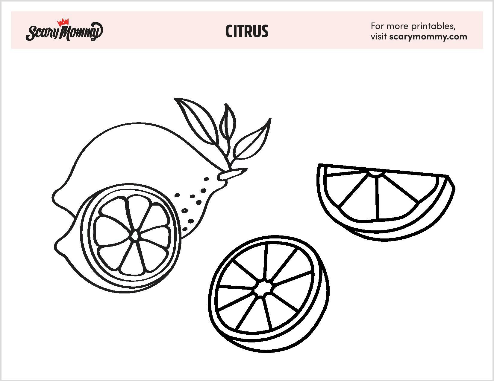 10 Fruit Coloring Pages That Are Berry Much Fun