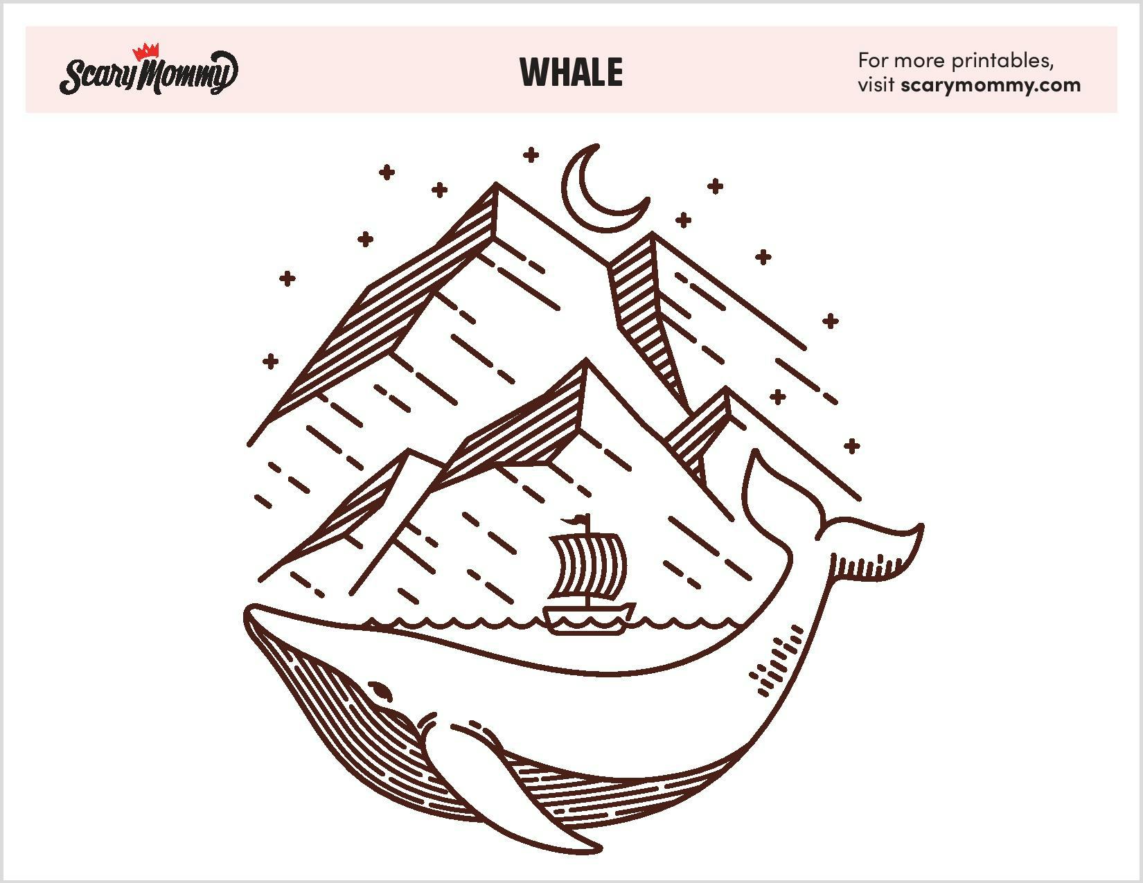 11 Whale Coloring Pages Sure To Create A Splash During Art Class