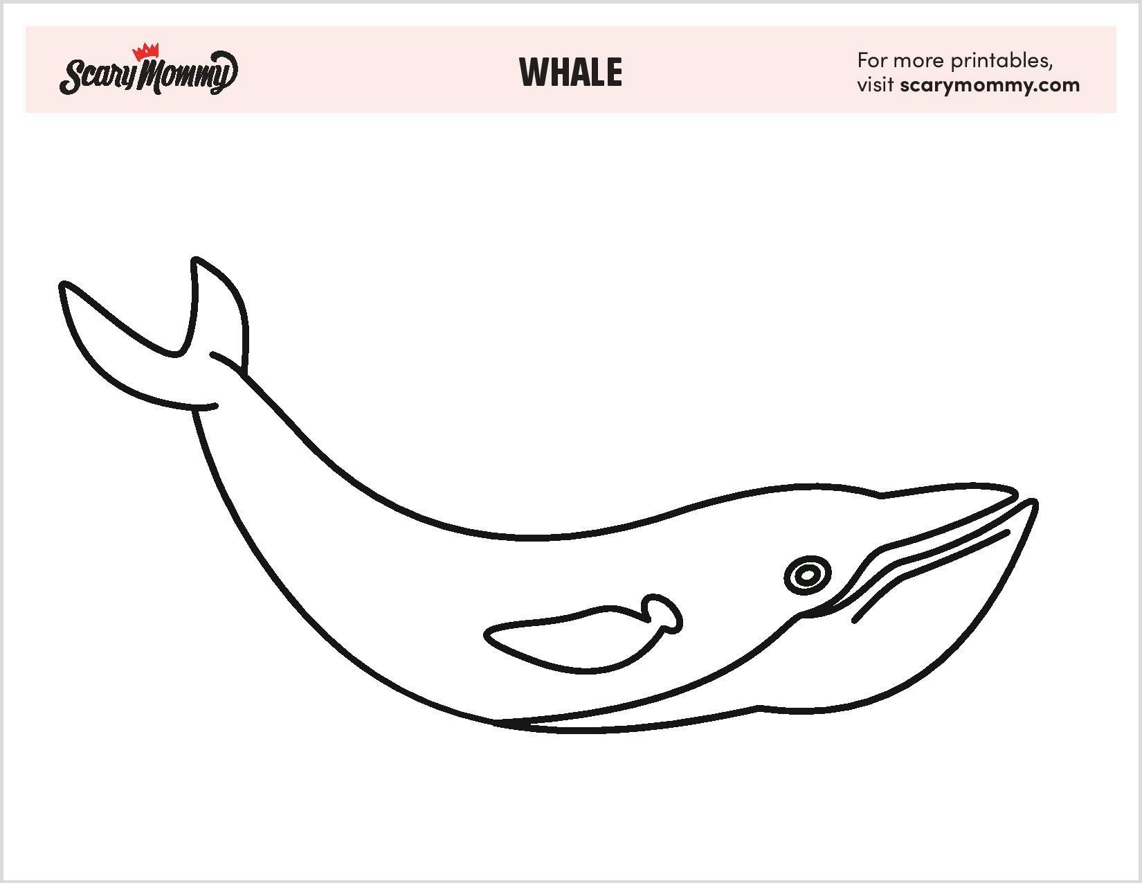 11 Whale Coloring Pages Sure To Create A Splash During Art Class