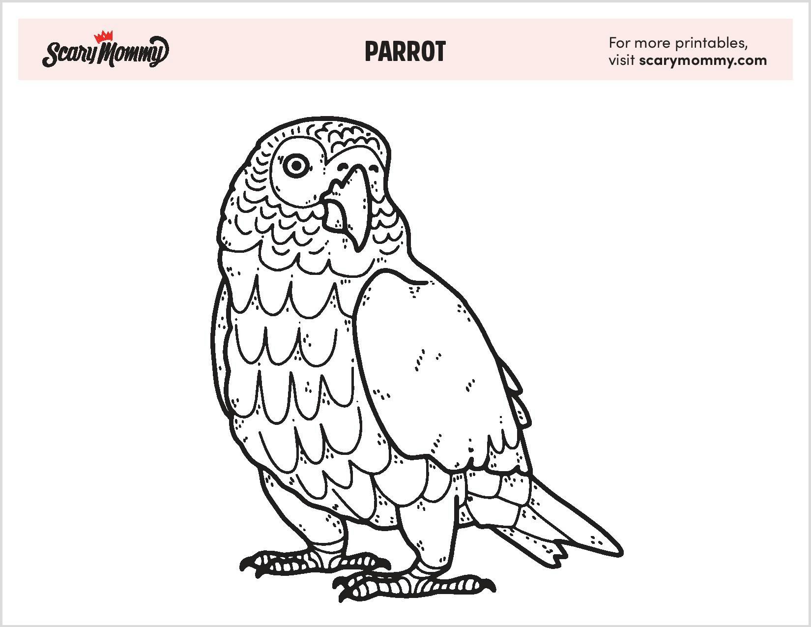 Need A Creative Activity For Your Kiddo? These Parrot Coloring Pages ...