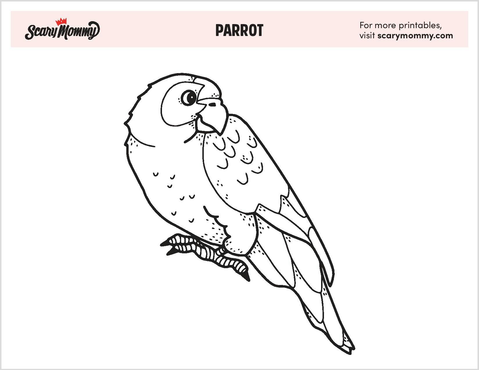 Need A Creative Activity For Your Kiddo? These Parrot Coloring Pages ...