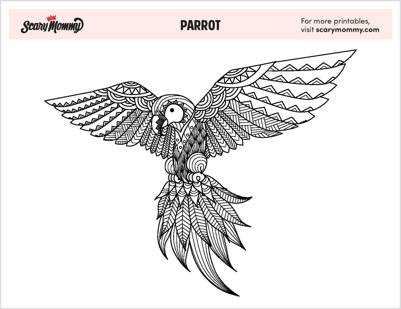 Need A Creative Activity For Your Kiddo? These Parrot Coloring Pages ...