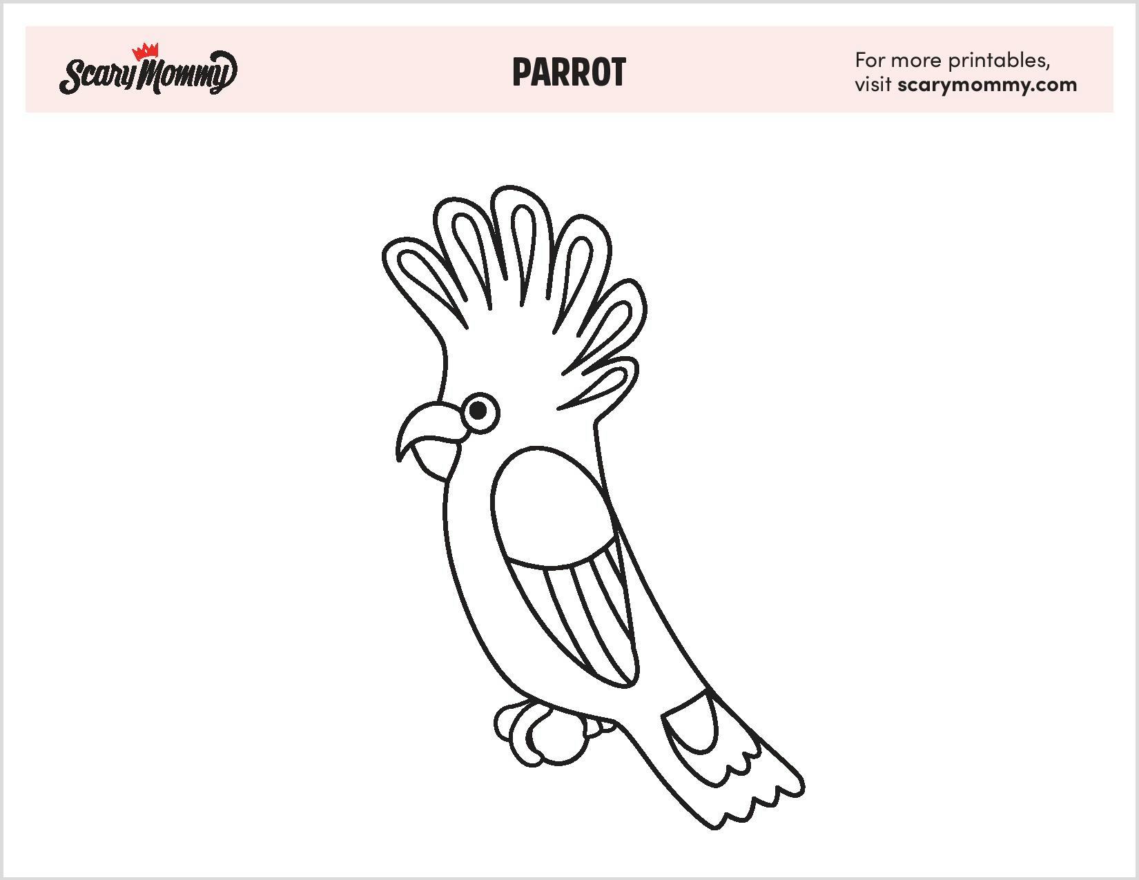 Need A Creative Activity For Your Kiddo? These Parrot Coloring Pages ...