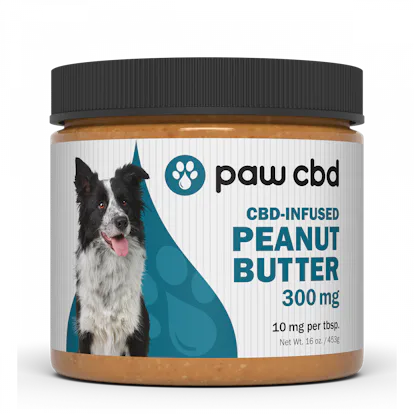 Beloved CBD Products That Actually Help People Chill The Eff Out