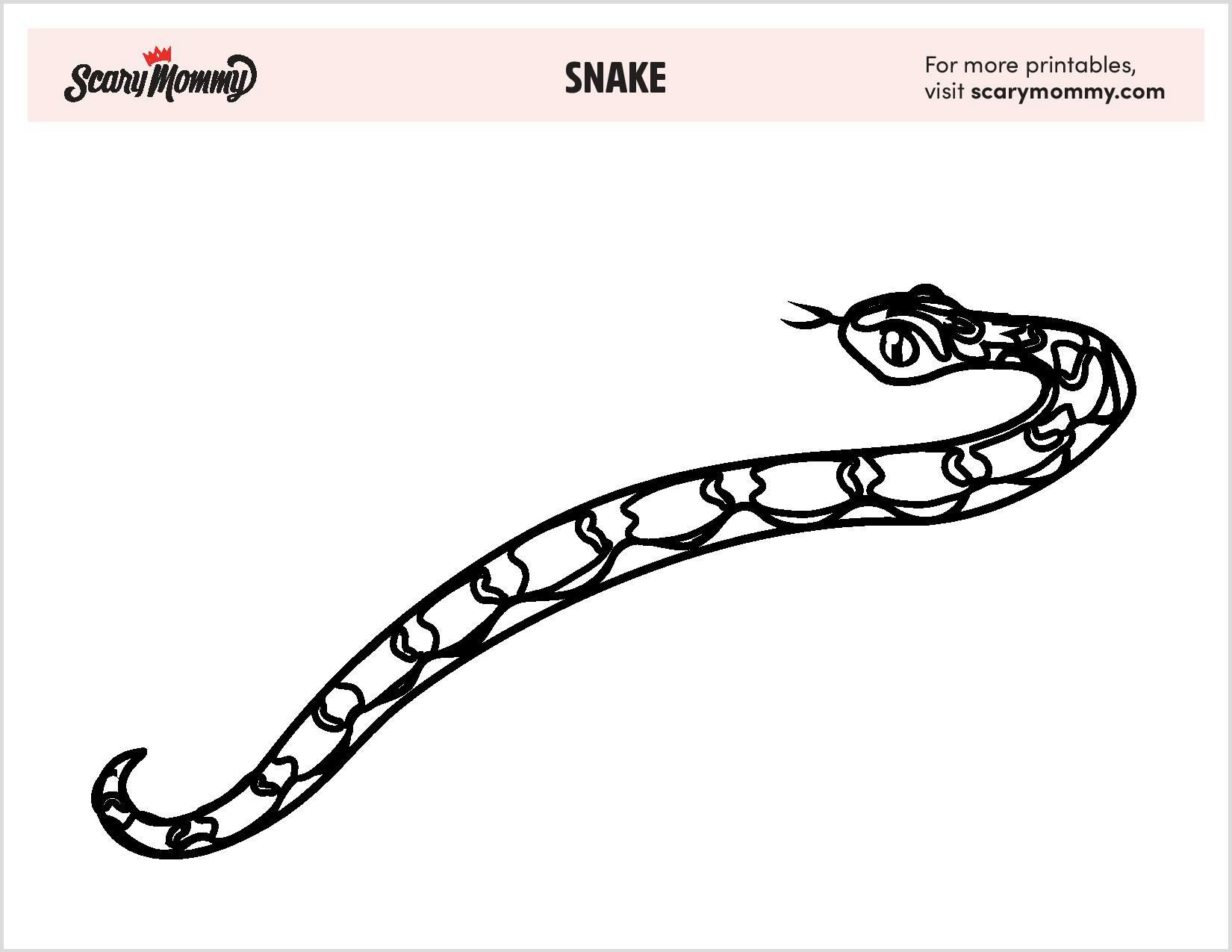 This Collection Of Snake Coloring Pages Will Have Your Kid Saying ...