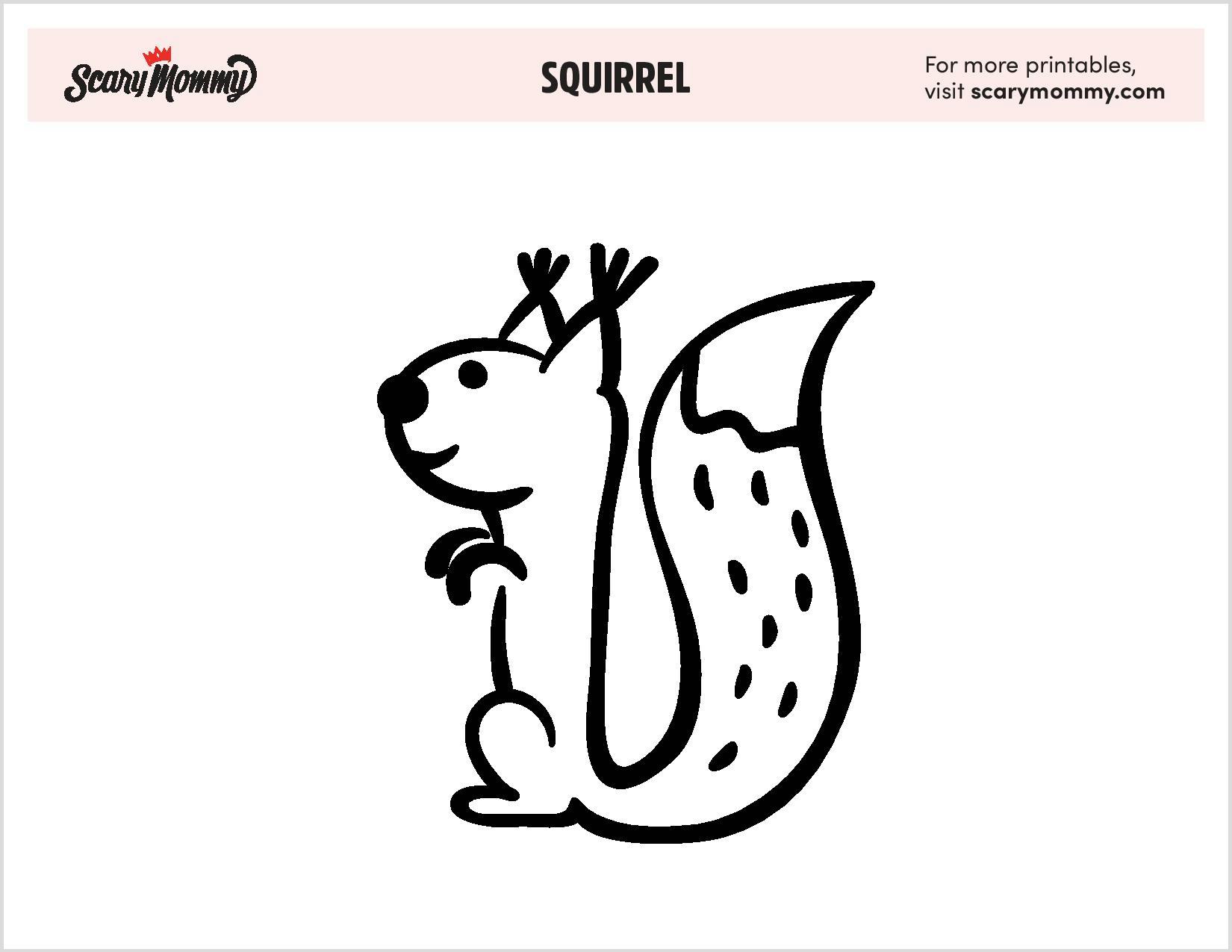 11 Squirrel Coloring Pages That Celebrate Nature’s Cutest Environmentalists