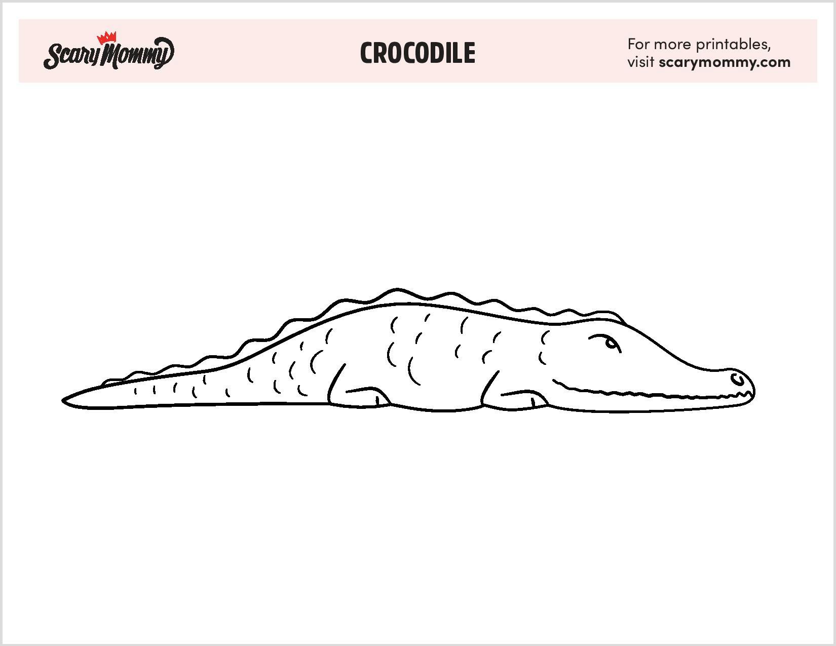 12 Alligator And Crocodile Coloring Pages Perfect For Reptile Fans