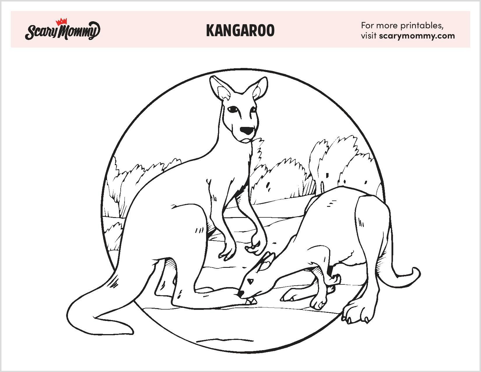 12 Kangaroo Coloring Pages To Keep Your Lil Joey From Bouncing Off The ...